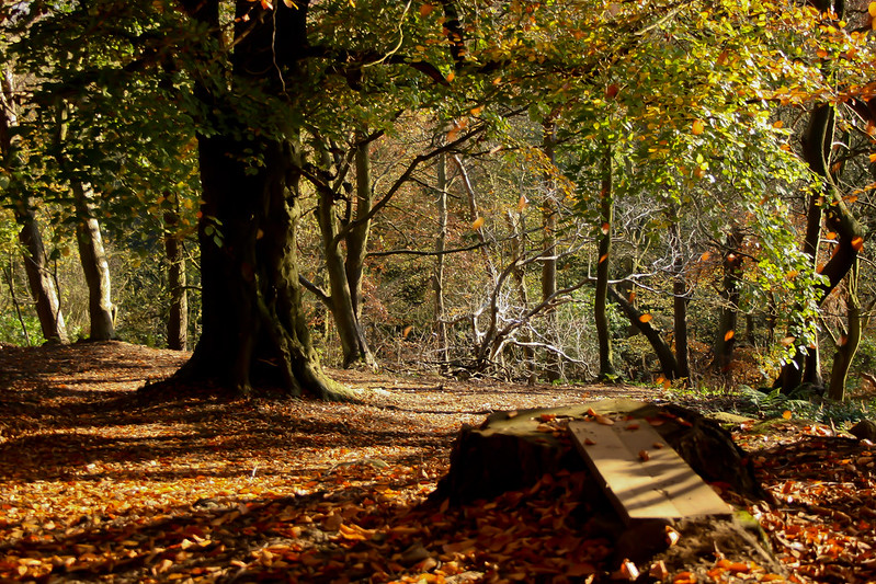 Upgrading M3DB from v1.1 to v1.5 | Uber Blog